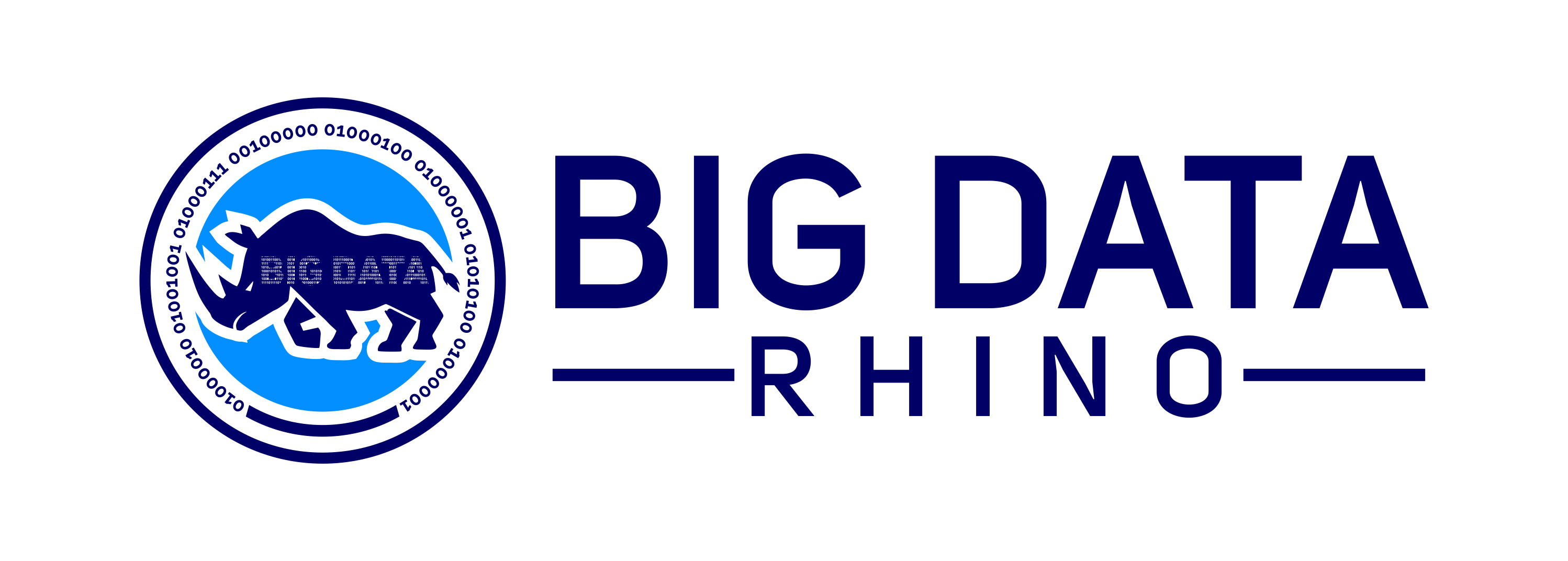 Big Data Rhino | Data Analytics & AI Solutions
